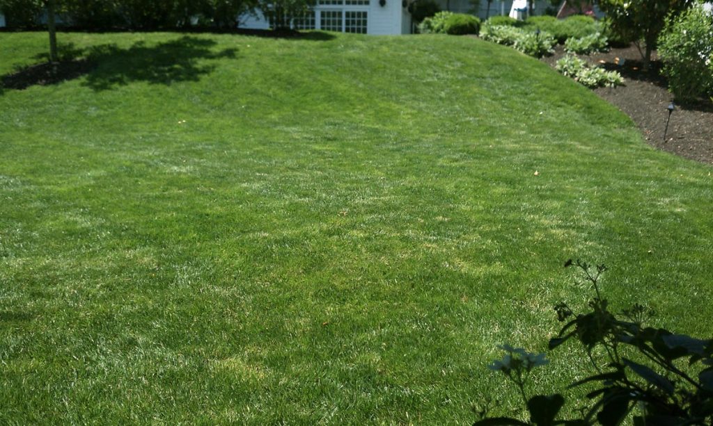 Look at our lawn renovation gallery - Lawn Systems, Inc.